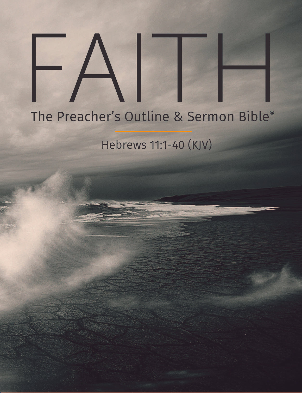 LMW's Online Store – Leadership Ministries Worldwide